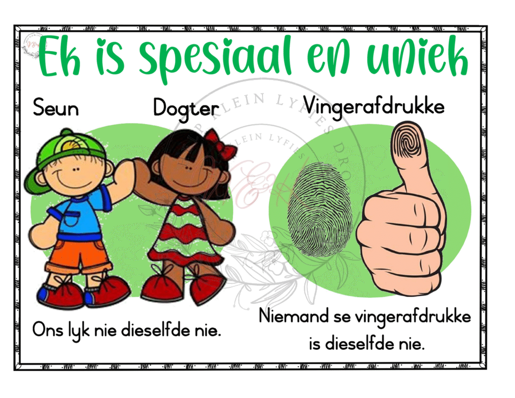 Graad 3 Lewensvaardigheid Aktiwiteite – Kwartaal 3 - Vinkel & Koljander