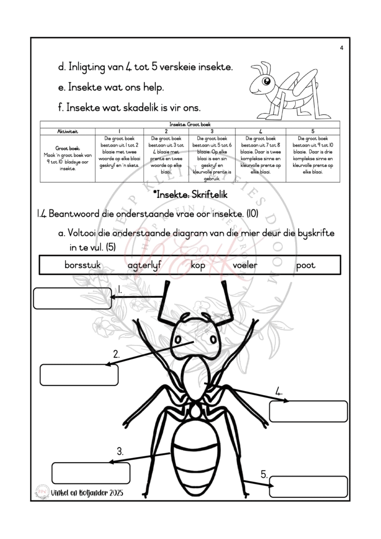 Graad 3 Formele Assesserings Take Pakket – Kwartaal 2 2025 - Vinkel ...